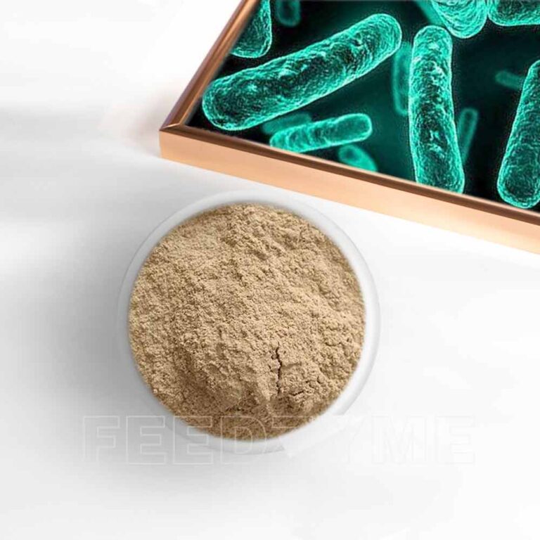 Bacillus Licheniformis – % Best Probiotic Supplenment G1